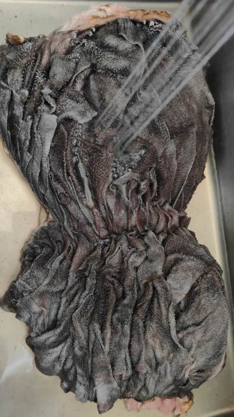 牛百叶怎么洗_牛百叶清洗去腥方法-第1张图片-山城妙识 牛百叶怎么洗_牛百叶清洗去腥方法-第1张图片-山城妙识