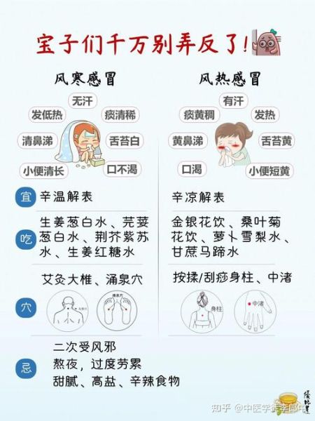 夏季感冒流清鼻涕是风寒还是风热_如何快速辨别与调理-第1张图片-山城妙识