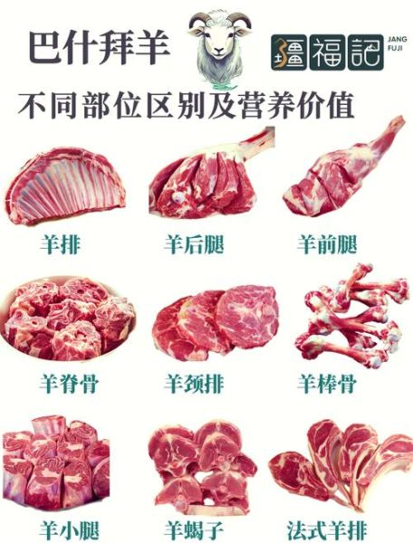 熬羊汤用什么骨头最好_羊骨部位怎么选-第1张图片-山城妙识
