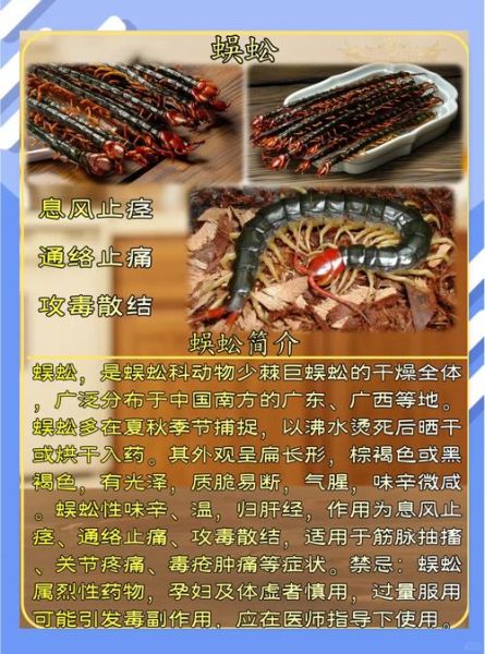 蜈蚣的功效与作用_蜈蚣能治哪些病-第1张图片-山城妙识 蜈蚣的功效与作用_蜈蚣能治哪些病-第1张图片-山城妙识