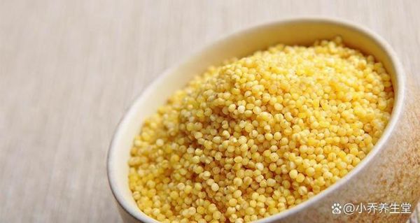 粟米和小米的区别_粟米是小米吗-第2张图片-山城妙识