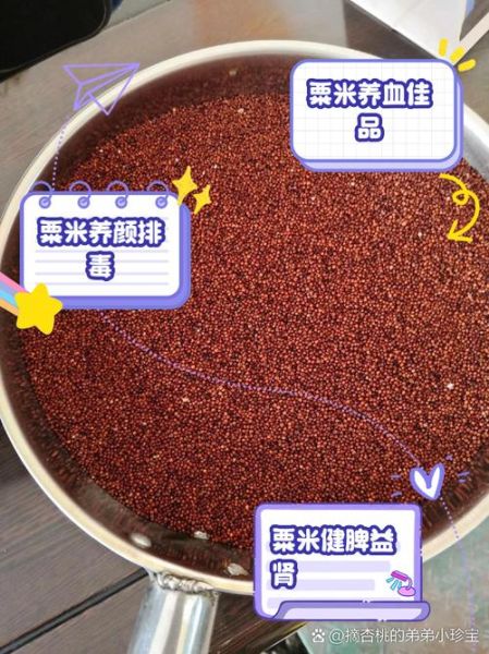 粟米和小米的区别_粟米是小米吗-第3张图片-山城妙识