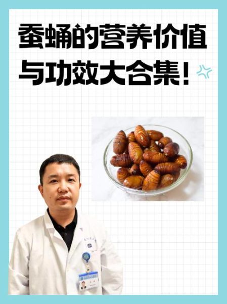 吃蚕蛹能提高性功能吗_蚕蛹壮阳是真的吗-第1张图片-山城妙识