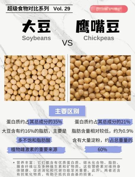 鹰嘴豆的功效与禁忌_鹰嘴豆适合什么人吃-第3张图片-山城妙识 鹰嘴豆的功效与禁忌_鹰嘴豆适合什么人吃-第3张图片-山城妙识