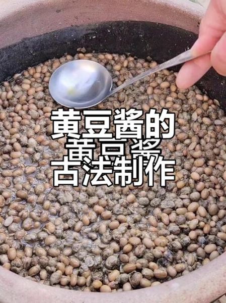 怎么发酵黄豆酱窍门_黄豆酱发酵失败原因-第3张图片-山城妙识