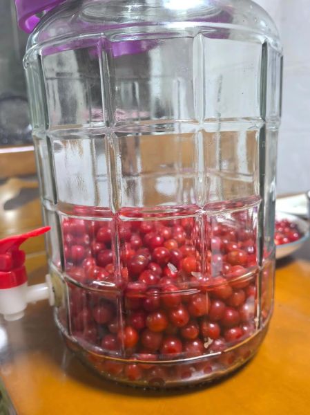 自酿樱桃酒的做法步骤图_樱桃酒发酵多久能喝-第1张图片-山城妙识