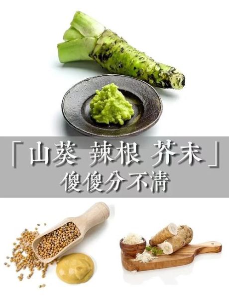 辣根是芥末吗_绿芥末和黄芥末的区别-第1张图片-山城妙识
