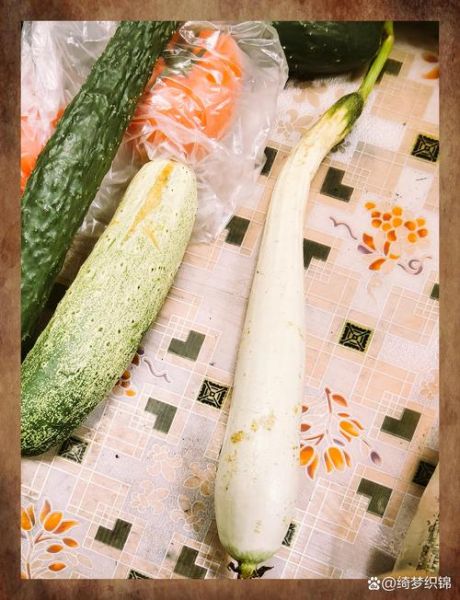 白丝瓜图片_白丝瓜和青丝瓜区别-第2张图片-山城妙识