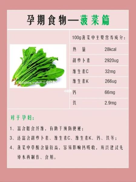 菠菜的营养价值_会上火吗-第3张图片-山城妙识 菠菜的营养价值_会上火吗-第3张图片-山城妙识