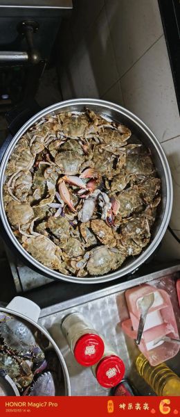 石蟹怎么做好吃_清蒸石蟹的做法步骤-第3张图片-山城妙识