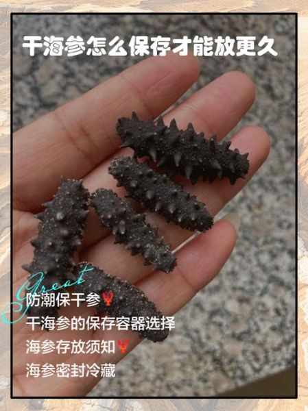 干海参怎么保存_干海参能放多久-第3张图片-山城妙识