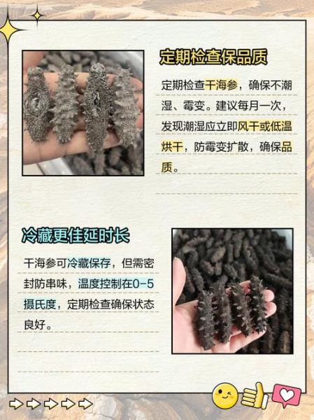 干海参怎么保存_干海参能放多久-第2张图片-山城妙识