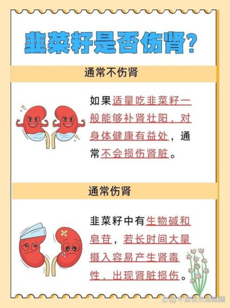 韭菜子怎么吃补肾_韭菜子壮阳效果好吗-第1张图片-山城妙识