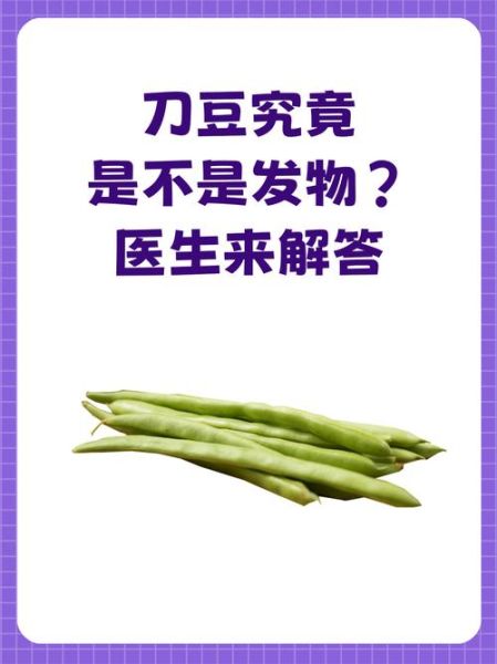 刀豆不能和什么一起吃_刀豆中毒怎么办-第3张图片-山城妙识 刀豆不能和什么一起吃_刀豆中毒怎么办-第3张图片-山城妙识