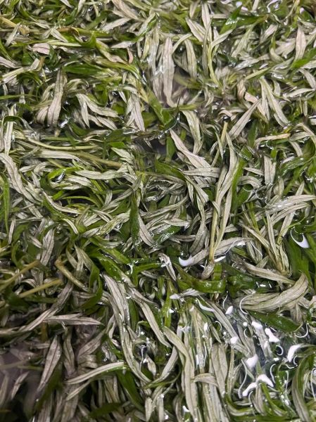 自制青团子怎么做_青团子用什么粉最正宗-第3张图片-山城妙识 自制青团子怎么做_青团子用什么粉最正宗-第3张图片-山城妙识