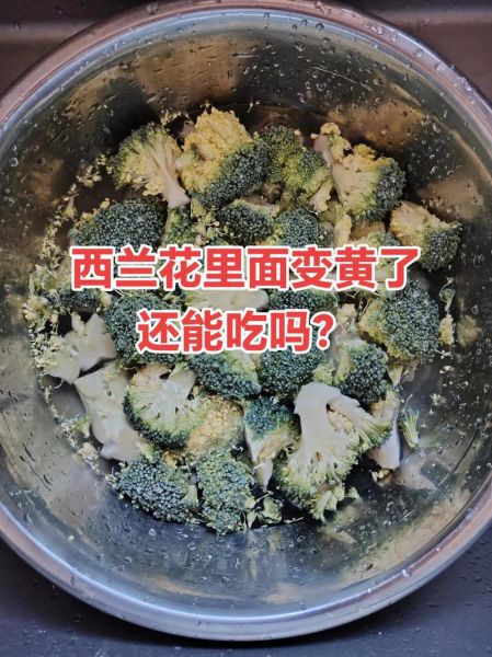 西兰花变黄了还能吃吗_西兰花变黄原因-第2张图片-山城妙识