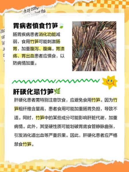 鲜竹笋的功效与禁忌_什么人不能吃竹笋-第3张图片-山城妙识