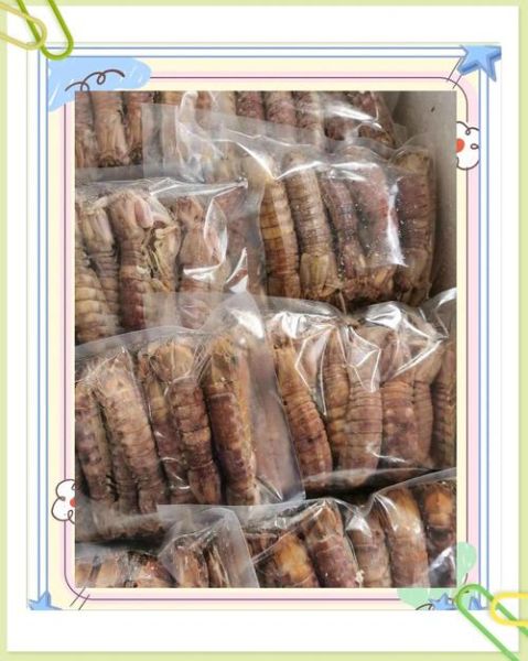 虾菇怎么洗干净_虾菇清洗技巧-第1张图片-山城妙识 虾菇怎么洗干净_虾菇清洗技巧-第1张图片-山城妙识