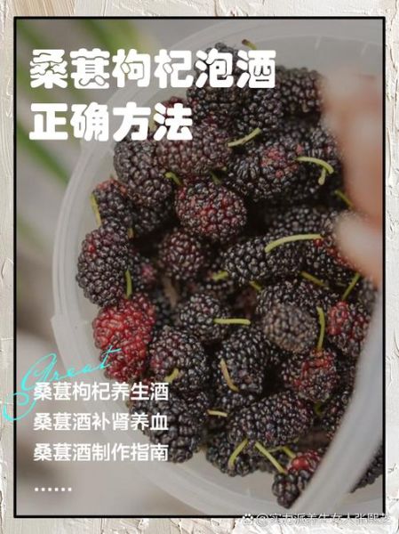 桑葚泡酒壮阳配方有哪些_桑葚与什么泡酒最补肾-第1张图片-山城妙识 桑葚泡酒壮阳配方有哪些_桑葚与什么泡酒最补肾-第1张图片-山城妙识