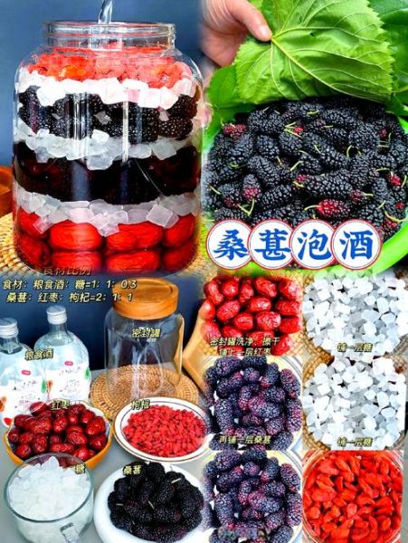 桑葚泡酒壮阳配方有哪些_桑葚与什么泡酒最补肾-第3张图片-山城妙识 桑葚泡酒壮阳配方有哪些_桑葚与什么泡酒最补肾-第3张图片-山城妙识