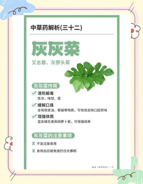 灰灰菜能吃吗_灰灰菜怎么吃安全-第1张图片-山城妙识 灰灰菜能吃吗_灰灰菜怎么吃安全-第1张图片-山城妙识