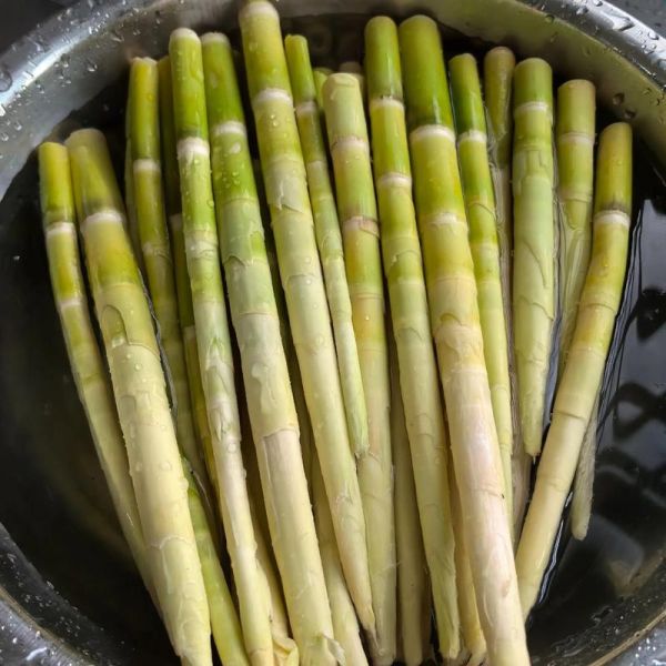 野生竹笋怎么挑选_野生竹笋有毒吗-第2张图片-山城妙识