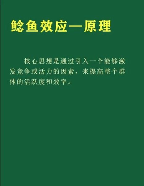 鲶鱼效应是什么_如何激发团队活力-第3张图片-山城妙识