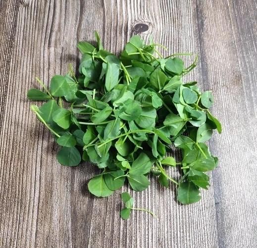 金花菜又叫什么菜_金花菜和草头区别-第2张图片-山城妙识 金花菜又叫什么菜_金花菜和草头区别-第2张图片-山城妙识