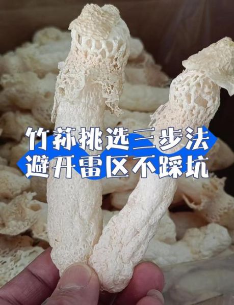 竹荪种植亏了本_如何避免再次失败-第1张图片-山城妙识 竹荪种植亏了本_如何避免再次失败-第1张图片-山城妙识