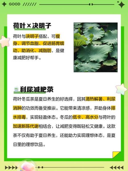 荷叶减肥茶怎么做_荷叶减肥茶有效吗-第3张图片-山城妙识 荷叶减肥茶怎么做_荷叶减肥茶有效吗-第3张图片-山城妙识