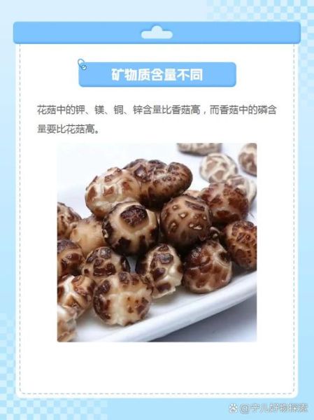香菇花菇的功效与作用_花菇和香菇哪个更营养-第3张图片-山城妙识