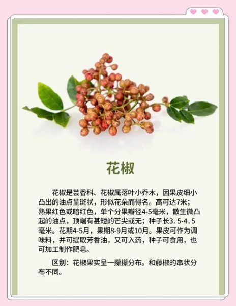 藤椒的功效与作用_藤椒怎么吃最好-第2张图片-山城妙识 藤椒的功效与作用_藤椒怎么吃最好-第2张图片-山城妙识