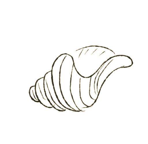 海螺简笔画怎么画_海螺简笔画步骤图-第2张图片-山城妙识 海螺简笔画怎么画_海螺简笔画步骤图-第2张图片-山城妙识