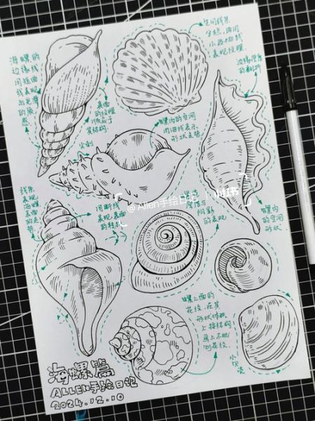 海螺简笔画怎么画_海螺简笔画步骤图-第1张图片-山城妙识 海螺简笔画怎么画_海螺简笔画步骤图-第1张图片-山城妙识