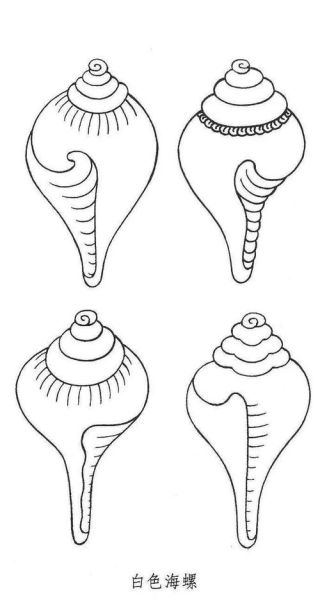 海螺简笔画怎么画_海螺简笔画步骤图-第3张图片-山城妙识 海螺简笔画怎么画_海螺简笔画步骤图-第3张图片-山城妙识