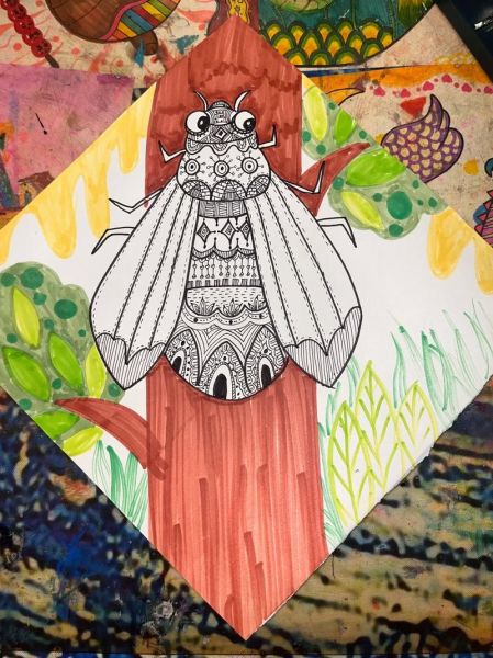 知了图片卡通怎么画_知了卡通素材哪里找-第2张图片-山城妙识