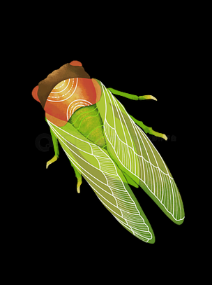 知了图片卡通怎么画_知了卡通素材哪里找-第3张图片-山城妙识