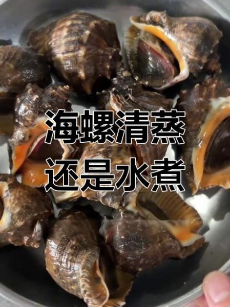 海螺开锅蒸几分钟好_海螺蒸多久才鲜嫩-第2张图片-山城妙识 海螺开锅蒸几分钟好_海螺蒸多久才鲜嫩-第2张图片-山城妙识
