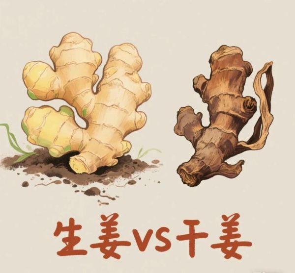 干姜的功效与作用_干姜和生姜有什么区别-第1张图片-山城妙识