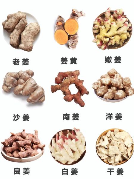 干姜的功效与作用_干姜和生姜有什么区别-第3张图片-山城妙识