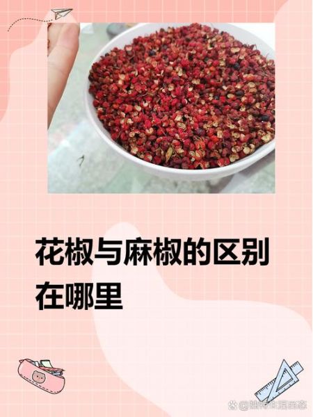麻椒和花椒一样吗_麻椒与花椒的区别-第3张图片-山城妙识 麻椒和花椒一样吗_麻椒与花椒的区别-第3张图片-山城妙识
