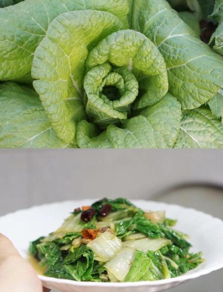 小白菜炒什么最好吃_小白菜炒肉还是炒蛋-第1张图片-山城妙识