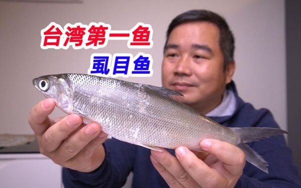 虱目鱼在大陆叫什么_虱目鱼学名和俗称对照-第1张图片-山城妙识