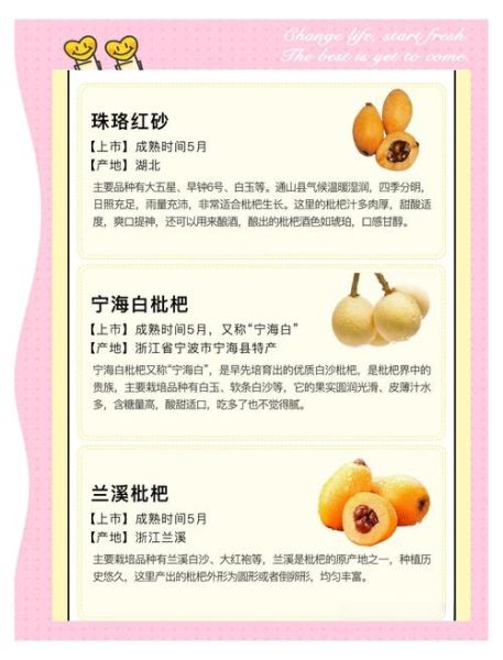 枇杷果实类型有哪些_如何区分枇杷品种-第1张图片-山城妙识