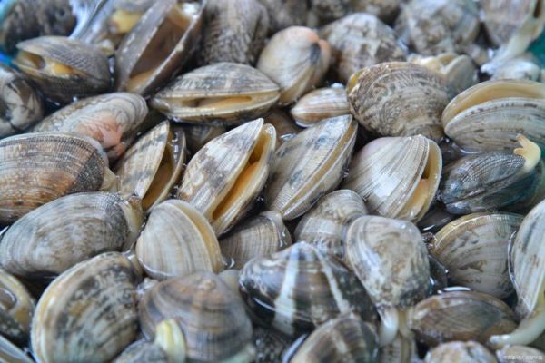 花甲图片高清_花甲高清图怎么拍-第2张图片-山城妙识