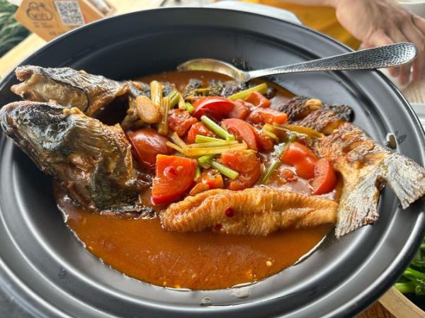 啤酒炖鱼的家常做法_啤酒炖鱼怎么做不腥-第2张图片-山城妙识