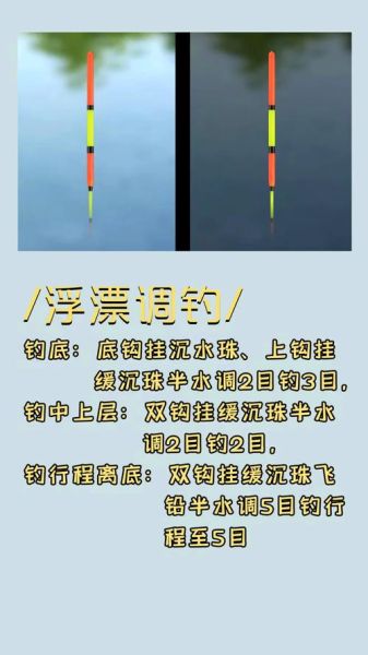 青鱼钓底还是钓浮_最佳钓法选择-第2张图片-山城妙识 青鱼钓底还是钓浮_最佳钓法选择-第2张图片-山城妙识