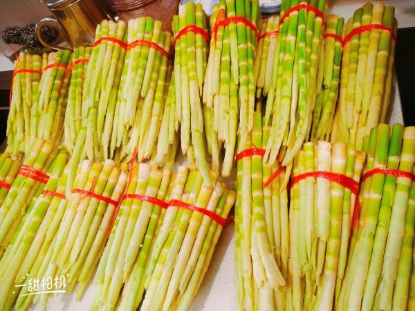 野笋的功效与作用_野笋的营养价值高吗-第3张图片-山城妙识