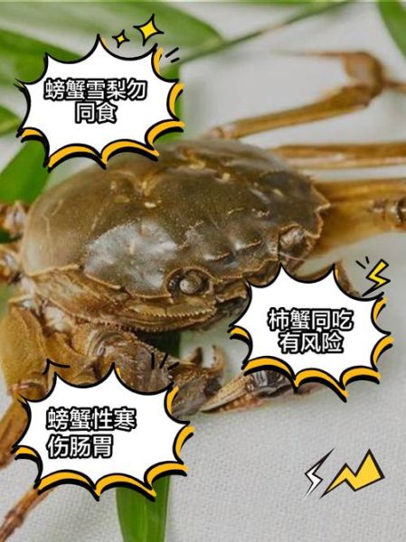 吃螃蟹不能吃什么食物相克_哪些食物与螃蟹同食会中毒-第3张图片-山城妙识