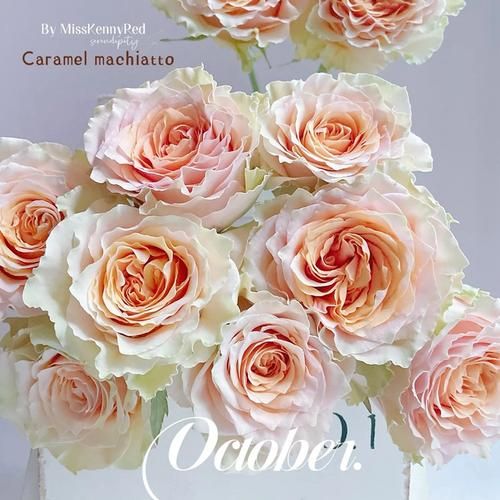 焦糖玛奇朵英文缩写是什么_Caramel Macchiato简称CM吗-第1张图片-山城妙识